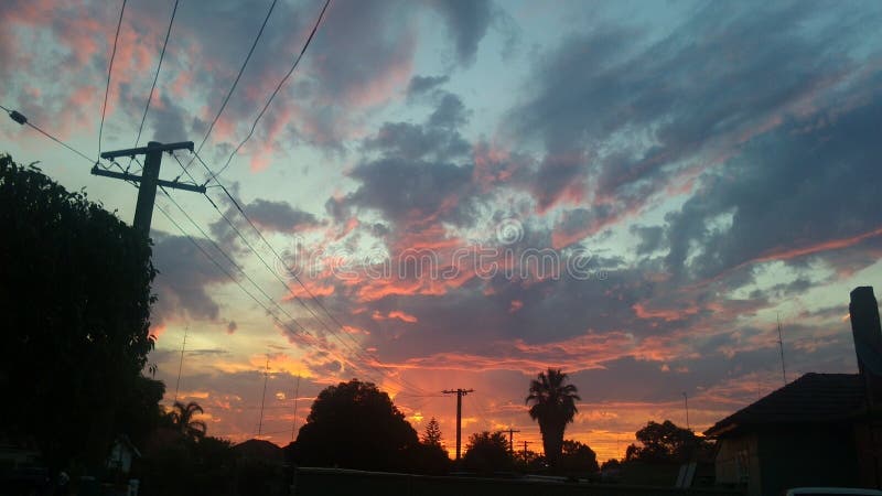 Beautiful stock image. Image of tree, dusk, phenomenon - 68427313