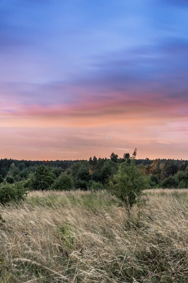 Beautiful Sunset Over the Meadow Stock Image - Image of agriculture ...