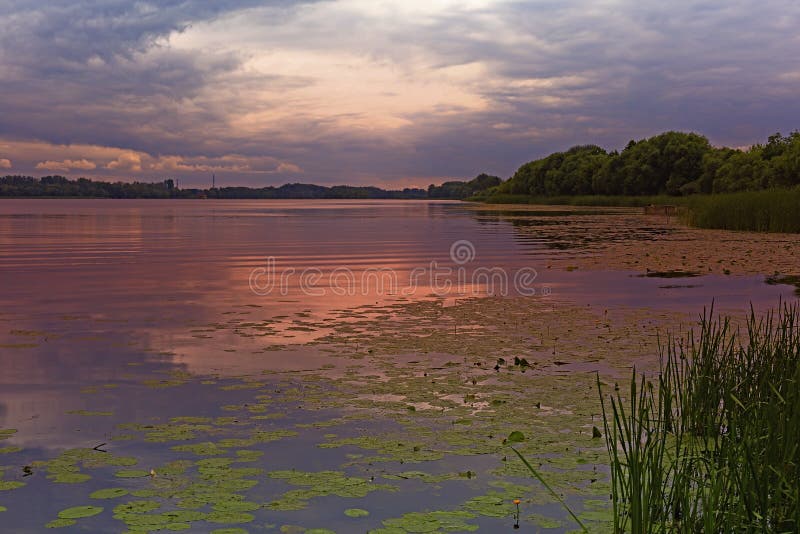 Beautiful Sunset Over the River. Stock Image - Image of gold, horizon ...