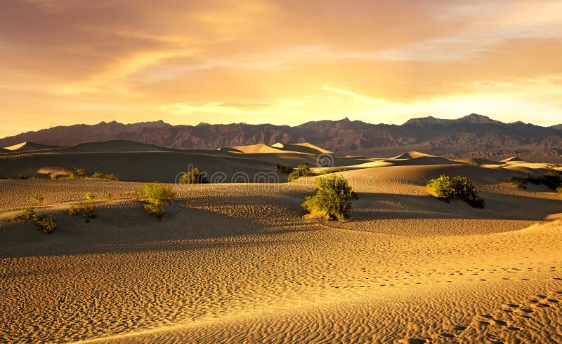 Beautiful Sunset And Sand Dunes Stock Image - Image of beach, dunes ...