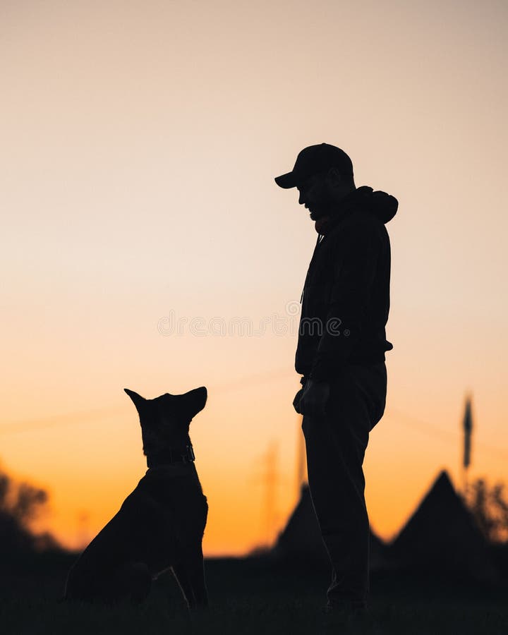 Beautiful Sunset Over the Silhouettes of Dog and Man. Concept of a Bond ...