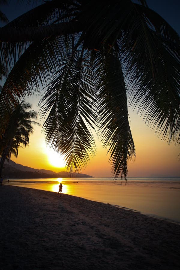 Beautiful Sunset Over the Tropical Beach Stock Photo - Image of scenic ...