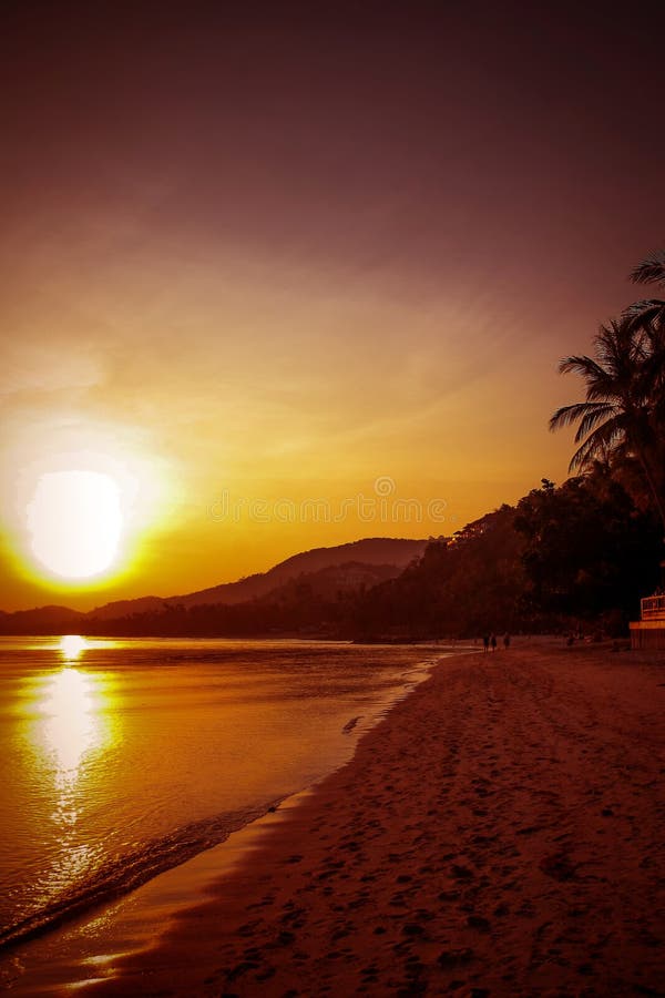 Beautiful Sunset Over the Tropical Beach Stock Photo - Image of nature ...