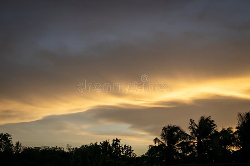 Beautiful Sunset between Palm Trees Stock Image - Image of sundown ...