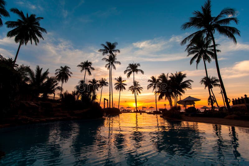 Beautiful Sunset with Palm Trees Reflected in Pool. Travel. Stock Image ...