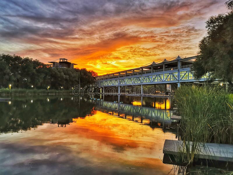 Beautiful Sunset in the Park Stock Photo - Image of beautiful, sunset ...