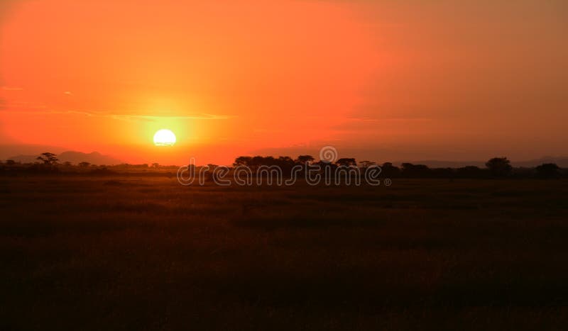 Orange Amazing Sunset Over Etosha National Park, Nambia, Africa Stock ...