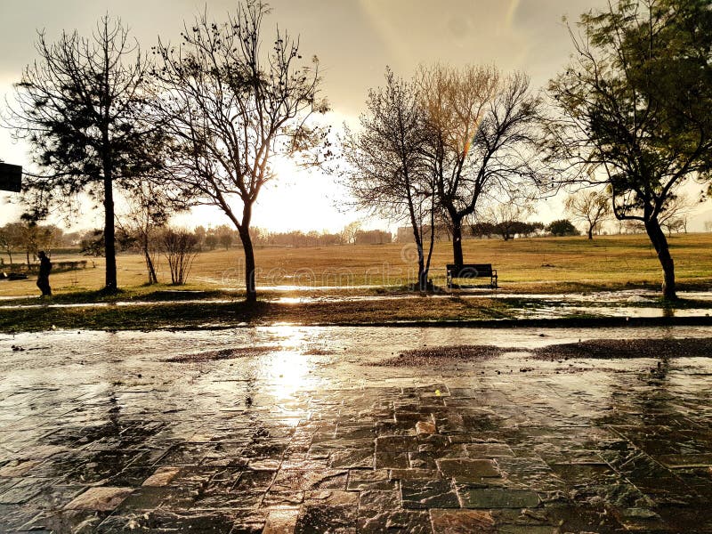 Beautiful Sunset during Rain Stock Image - Image of plants, reflection ...