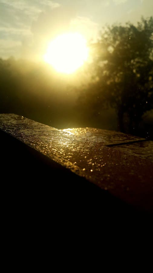 Sunset on a rainy day stock photo. Image of forest, ranny - 114482654