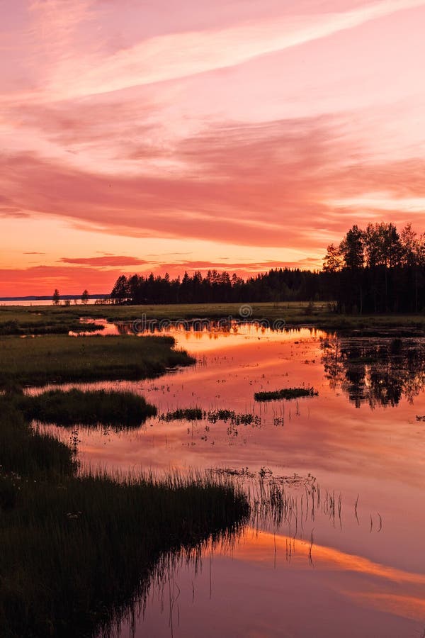 Beautiful Sunset Reflection in a Forest Lake Stock Image - Image of ...