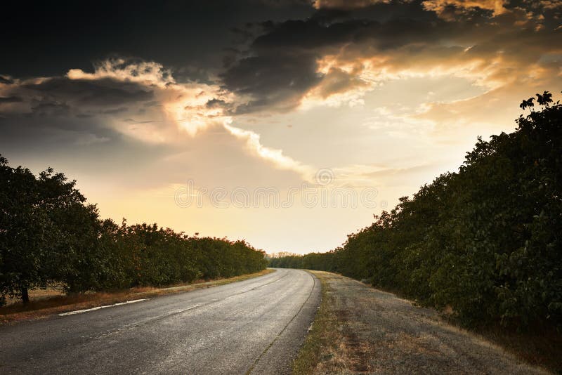 Beautiful Sunset on Road, Summer Landscape Stock Image - Image of land ...
