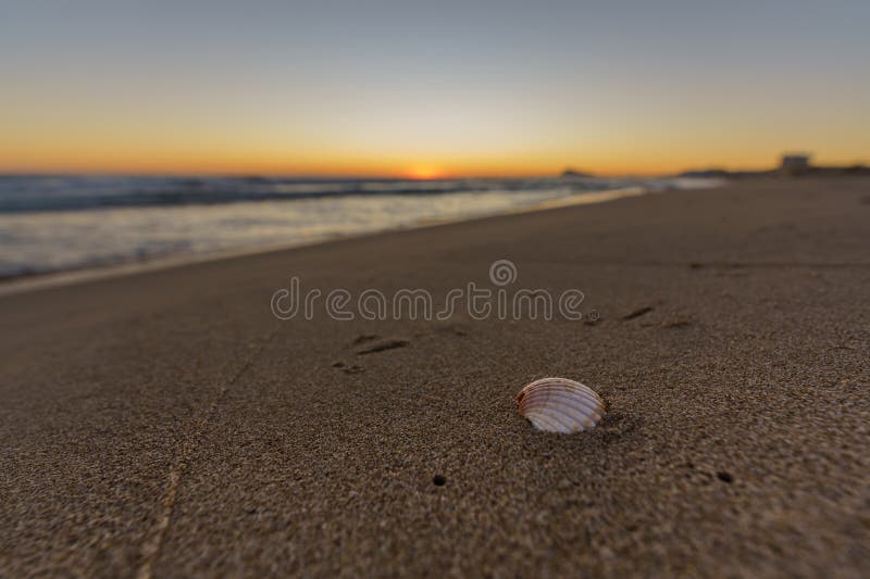 Beautiful Sunset on a Sandy and Calm and Smooth Beach Stock Photo ...