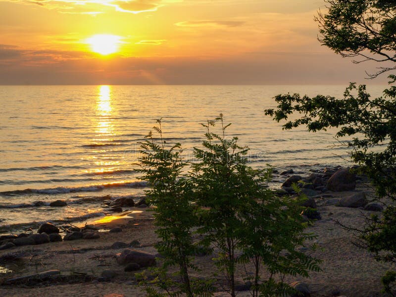 L Sunset at Sea, Silhouettes of Tree Branches in the Foreground Stock ...