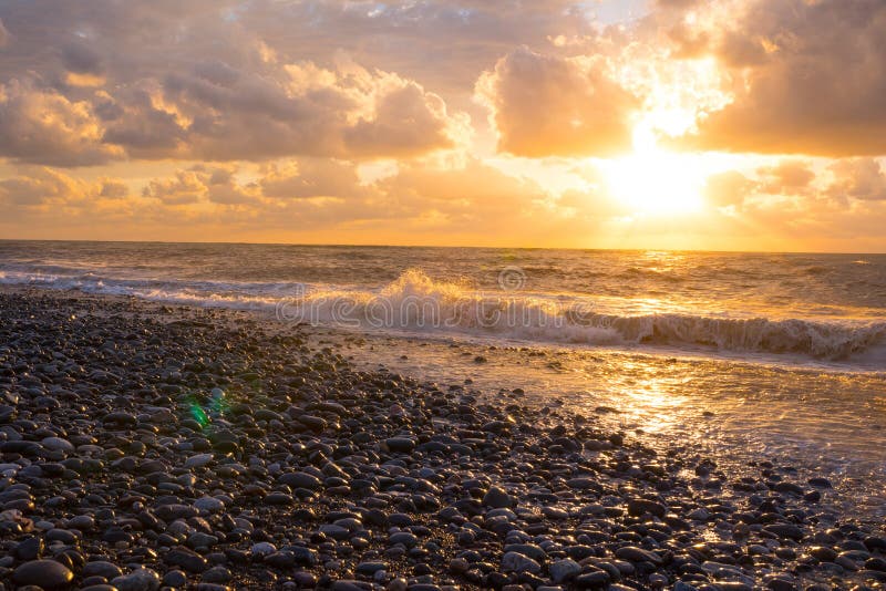 Beautiful Sunset, on the Seashore. Details Tropical. Nature Close-up ...