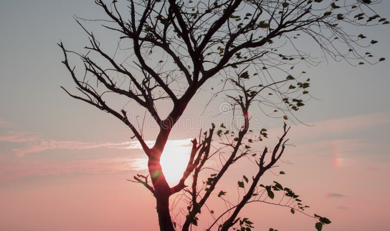 Beautiful sunset stock photo. Image of beauty, beautiful - 69930874