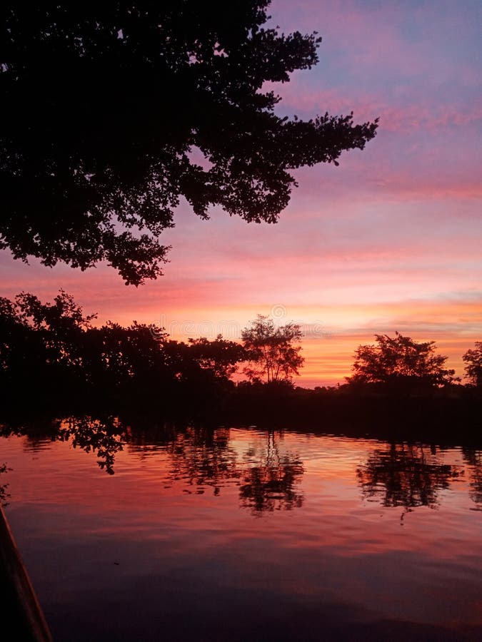 Beautiful Sunset with Shady Trees Stock Photo - Image of afterglow ...