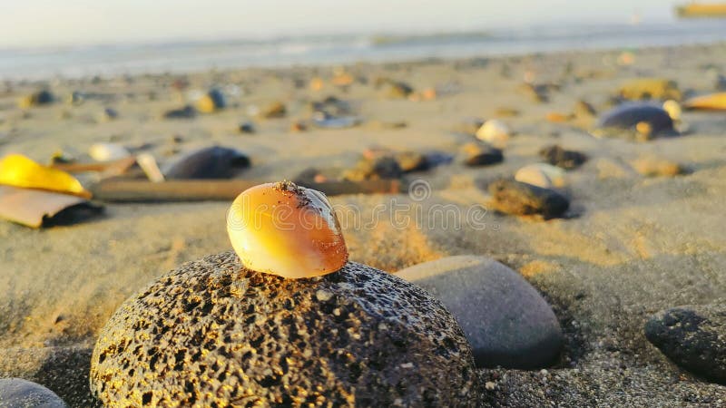 Beautiful Sunset with Shell in Sand Landscape View Stock Image - Image ...