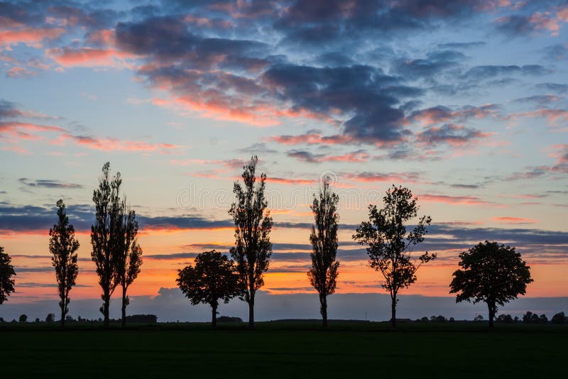 Beautiful Sunset Sky Over Trees Stock Image - Image of field, landscape ...