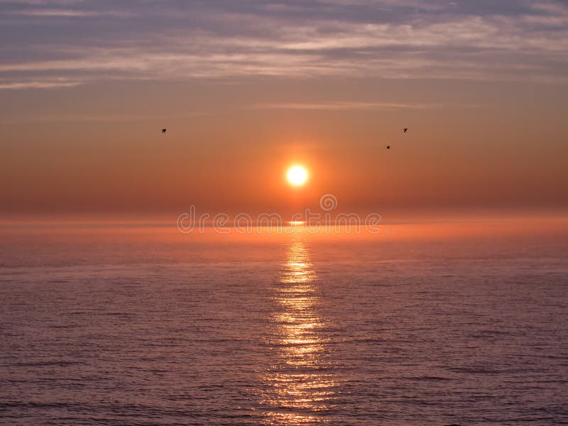 Beautiful Sunset and Sky Reflection Whit Birds Stock Image - Image of ...