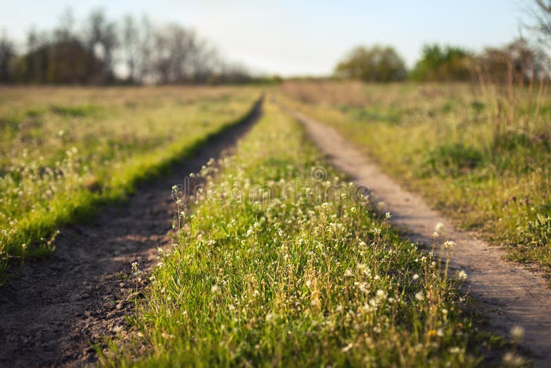 Beautiful Sunset. Spring Landscape with Road in Field Stock Photo ...