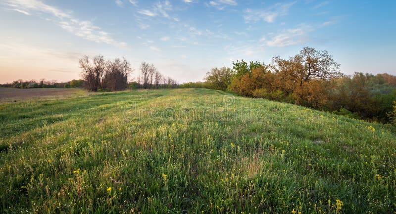Beautiful Sunset. Spring Landscape with Trail, Trees, Sky and Cl Stock ...