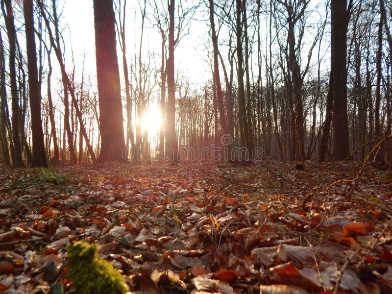 Beautiful Sunset in Spring in Northern Germany Stock Photo - Image of ...