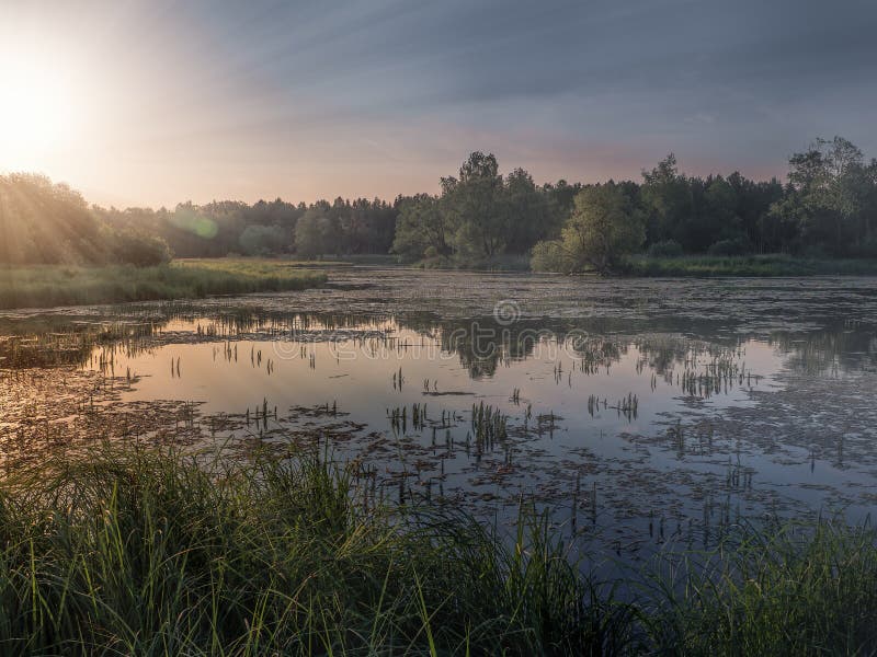 Beautiful Sunset with Sun Rays Over the Northern Swamp Stock Image ...