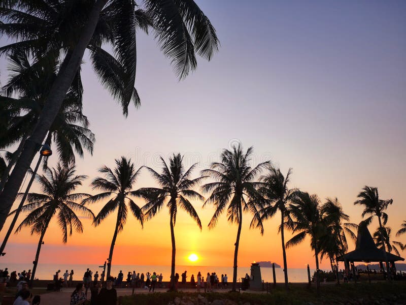 Beautiful Sunset Surrounding with Coconut Trees on the Shore. Stock ...