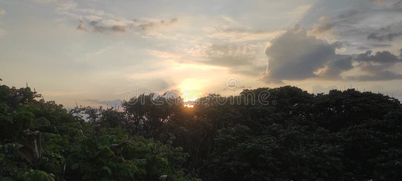 Beautiful Sunset between the Trees Landscape Scene Stock Image - Image ...