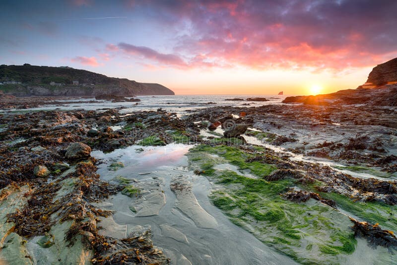 Trevellas Coombe Beach in St Agnes in Cornwall Stock Image - Image of ...