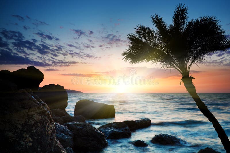 Beautiful Sunset at Tropical Beach. Stock Image - Image of nature ...
