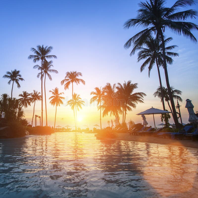 Beautiful Sunset at a Tropical Beach. Travel. Stock Image - Image of ...