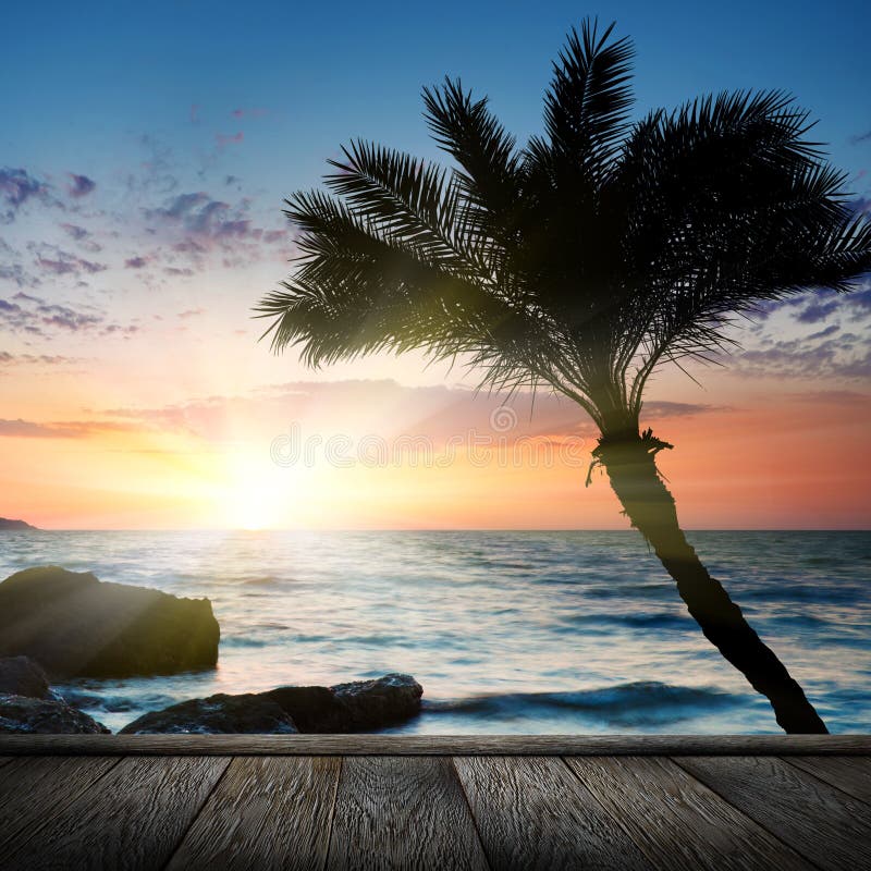 Beautiful Sunset at Tropical Beach. Stock Photo - Image of orange ...