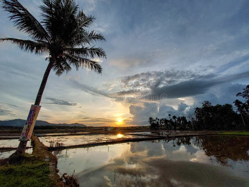 The Beautiful Sunset Views Over Unplanted Rice Fields Stock Image ...