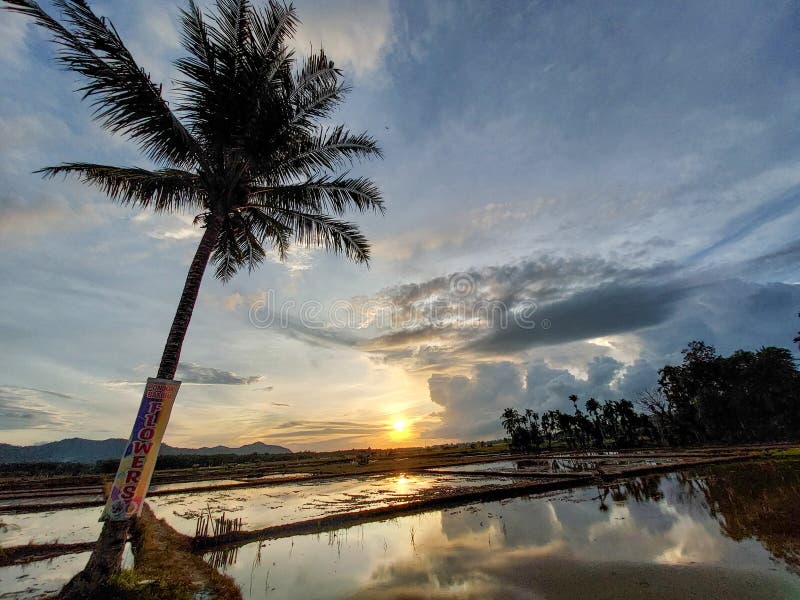 The Beautiful Sunset Views Over Unplanted Rice Fields Stock Image ...
