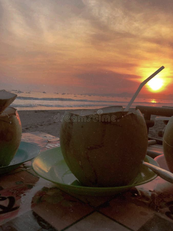 Sunset, Enjoy the Beautiful Sunshine Accompanied by Young Coconuts on ...