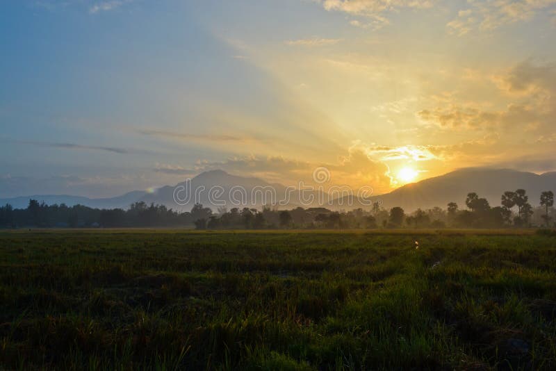Beautiful Sunshine and Rice Farm on Morning Time Stock Photo - Image of ...
