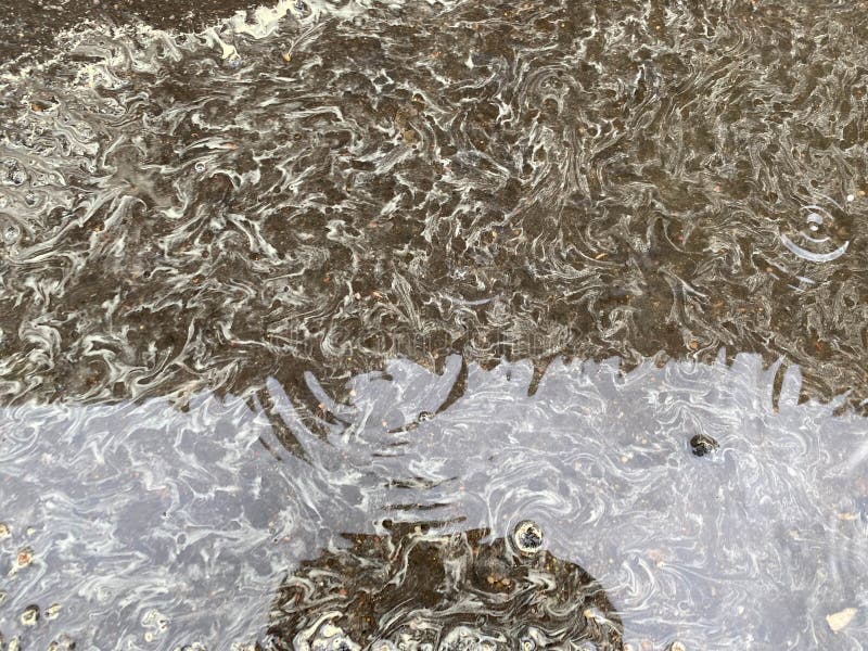 A Beautiful Surface of Blooming Rainwater with Yellow and White Streaks ...