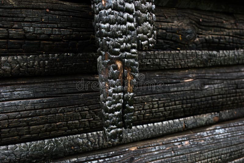 The Charred Logs in the Snow Stock Image - Image of cold, season: 107069299
