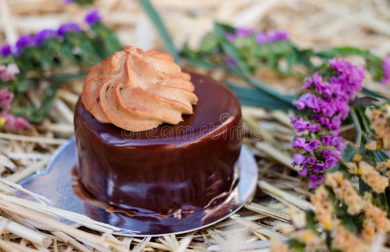 Beautiful Sweet Chocolate Cake Stock Image - Image of wedding, glaze ...