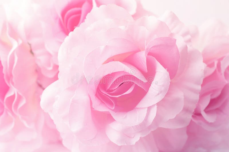 Sweet Color Fabric Roses in Soft Style for Background Stock Image ...