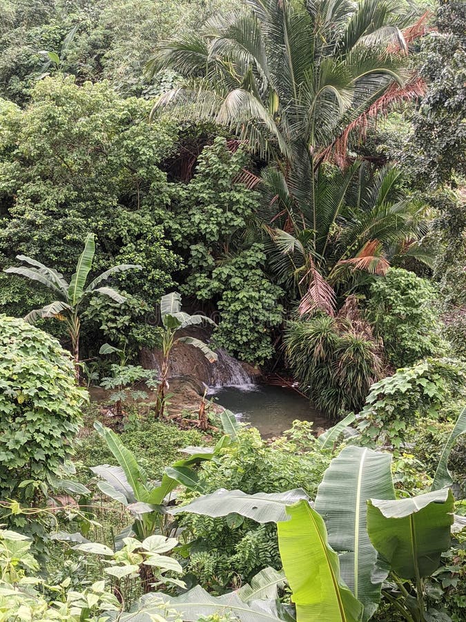 Beautiful and Sweet Nature and Waterfalls in Indonesia Stock Photo ...