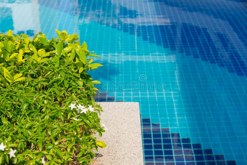 Beautiful Swimming Pool in Hotel Pool Resort Stock Photo - Image of ...