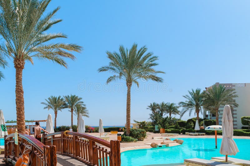 Beautiful Swimming Pool and Palm Trees in Egypt Editorial Image - Image ...