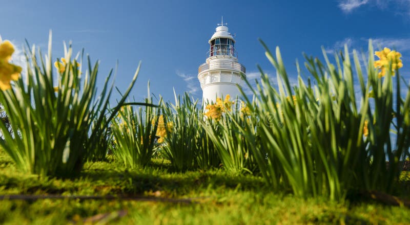 Beautiful Table Cape Lighthouse in Tasmania Stock Image - Image of ...