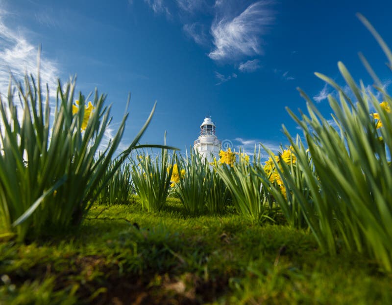 Beautiful Table Cape Lighthouse in Tasmania Stock Photo - Image of ...