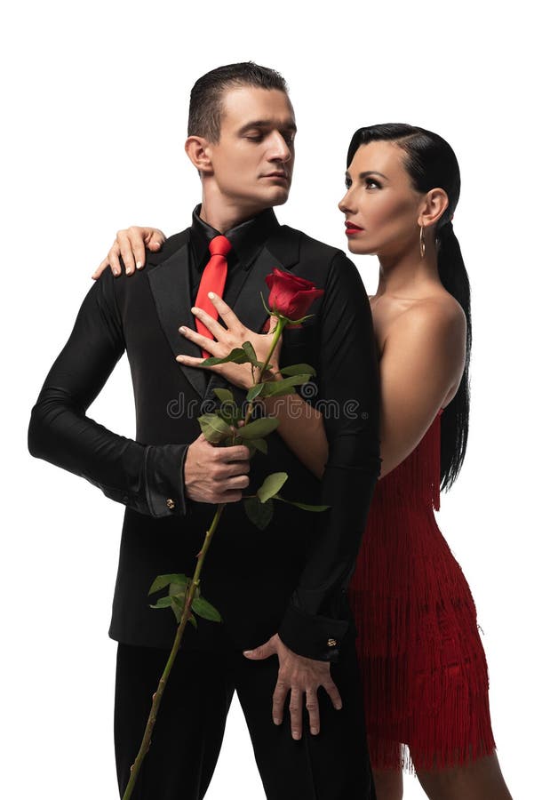 Tango Dancer Hugging Partner Holding Red Rose Isolated on White Stock ...