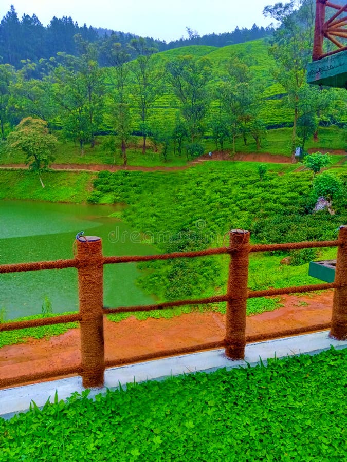 Sri Lanka's Tea Estates Stock Image - Image of castlereagh, freshness ...