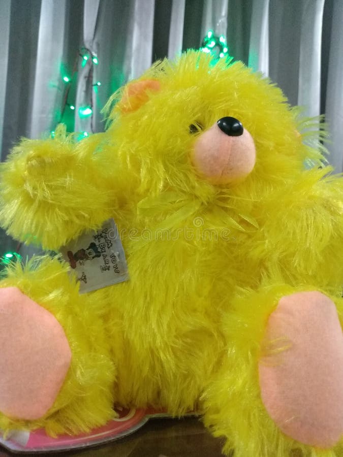 Beautiful teddy bear stock photo. Image of flower, doll - 252679160