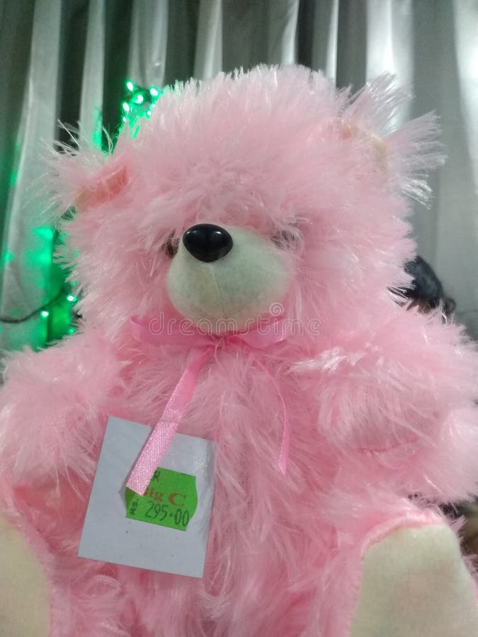 Beautiful teddy bear stock photo. Image of teddy, costume - 252679184